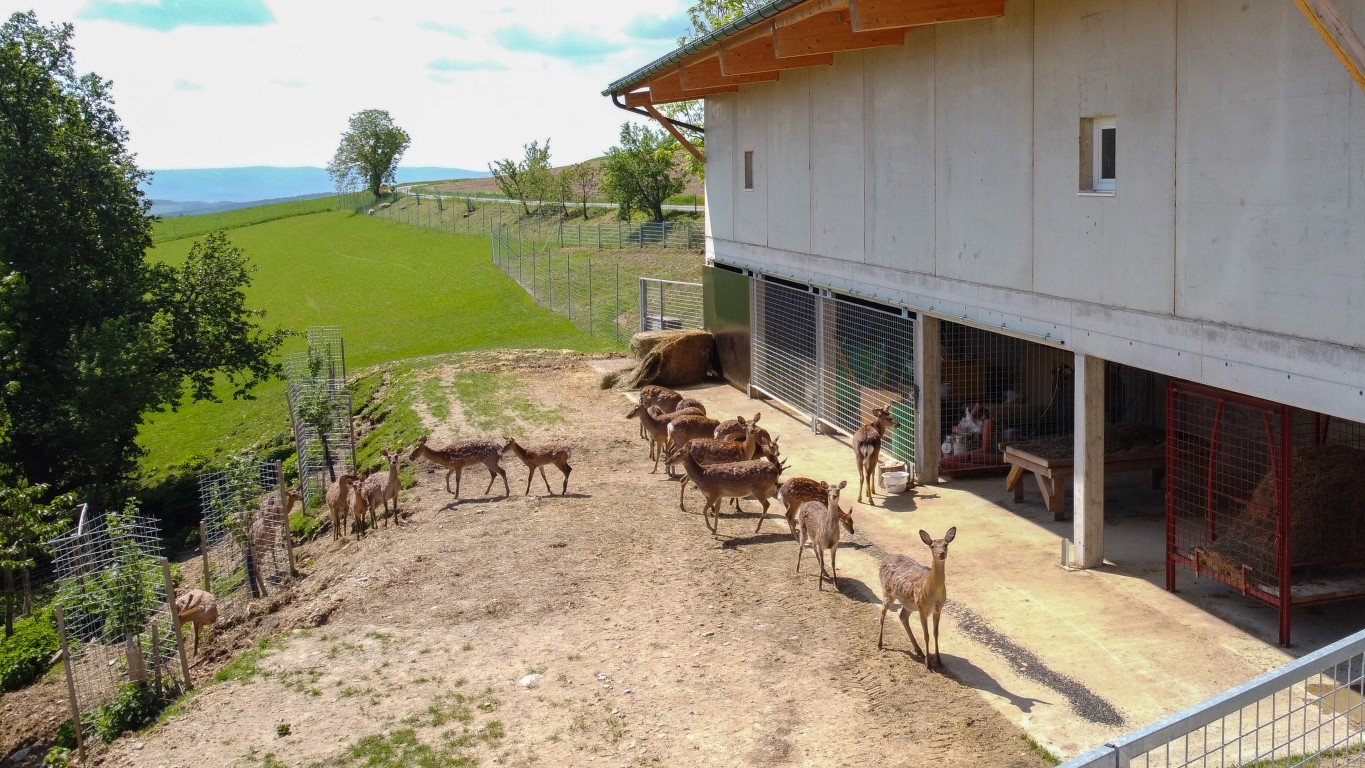 Impressionen vom Hof | Biohof Bernsteiner
